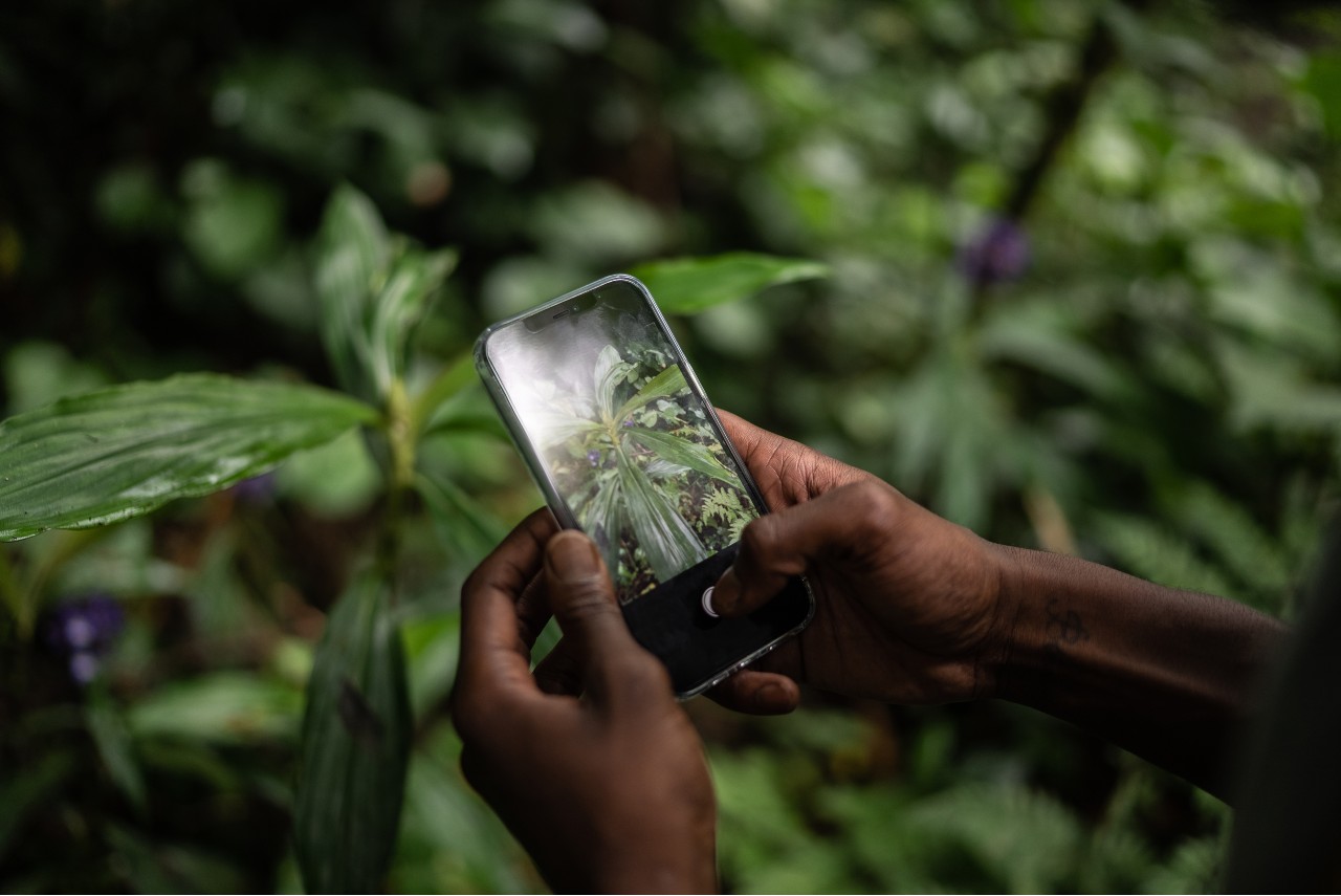 Four ways to reduce your carbon footprint using connected IoT devices ... Four ways to reduce your carbon footprint using connected IoT devices ...